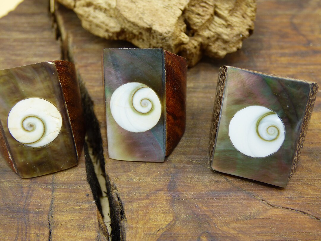 Wooden Paua Snail & Operculum Shell Ring/dread Bead ~ Dreadlock Jewelry ...