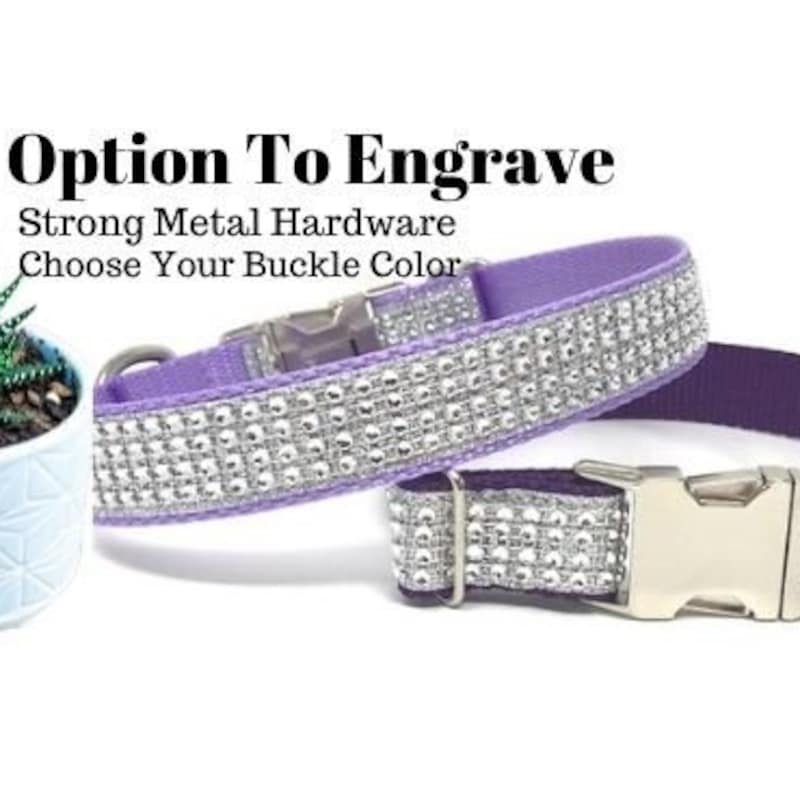 Leather Fancy Dog Collars - Etsy