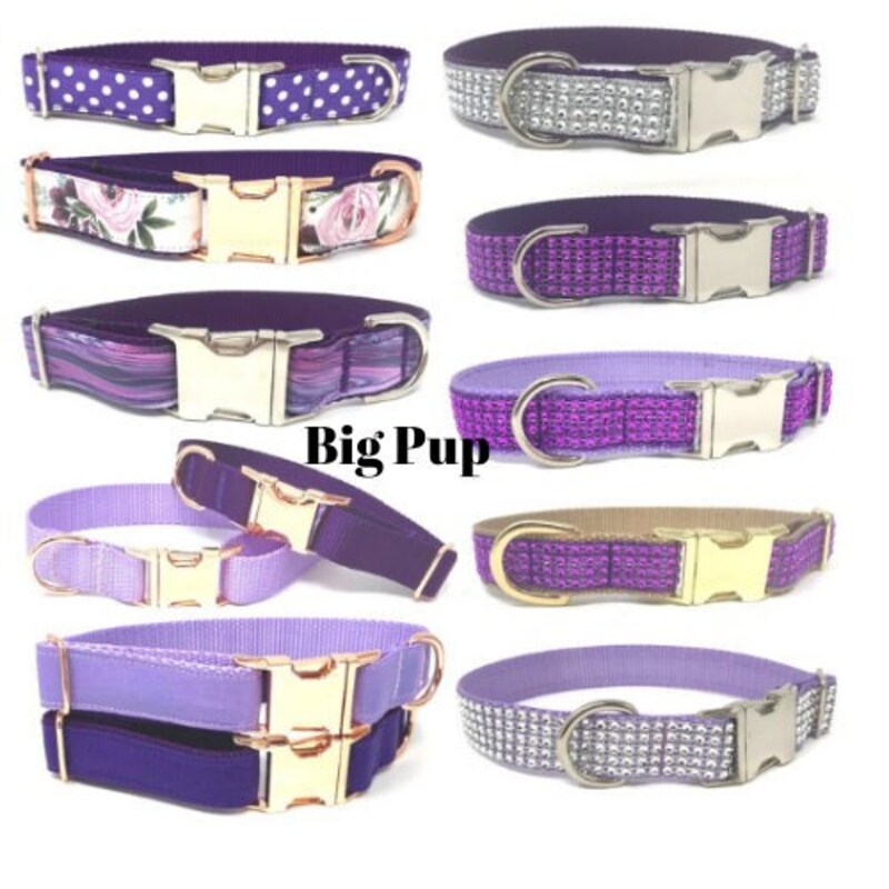 Purple Dog Collar - Etsy