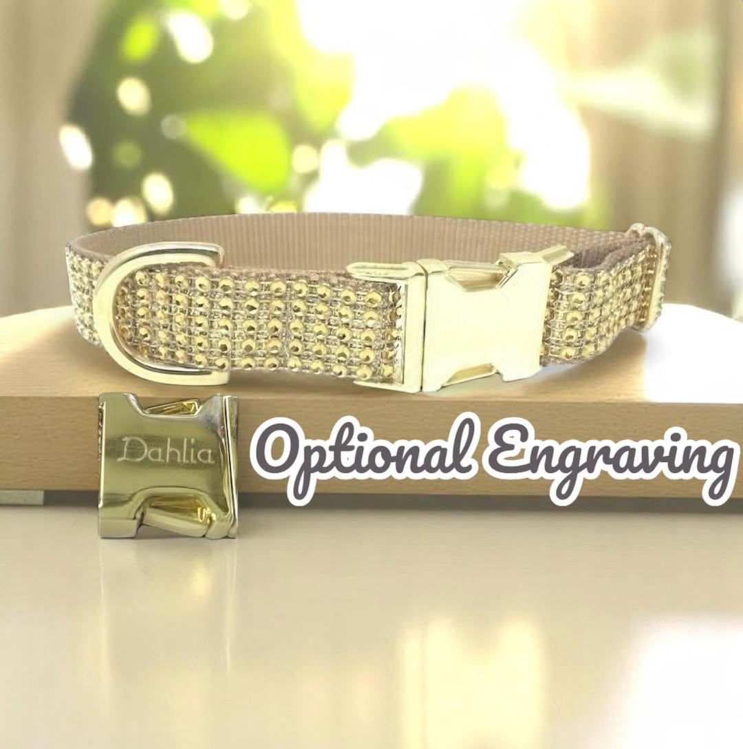 Fancy, Gold, Glitter, Rhinestone, Sparkle Dog Collar, Bling, Bedazzled ...