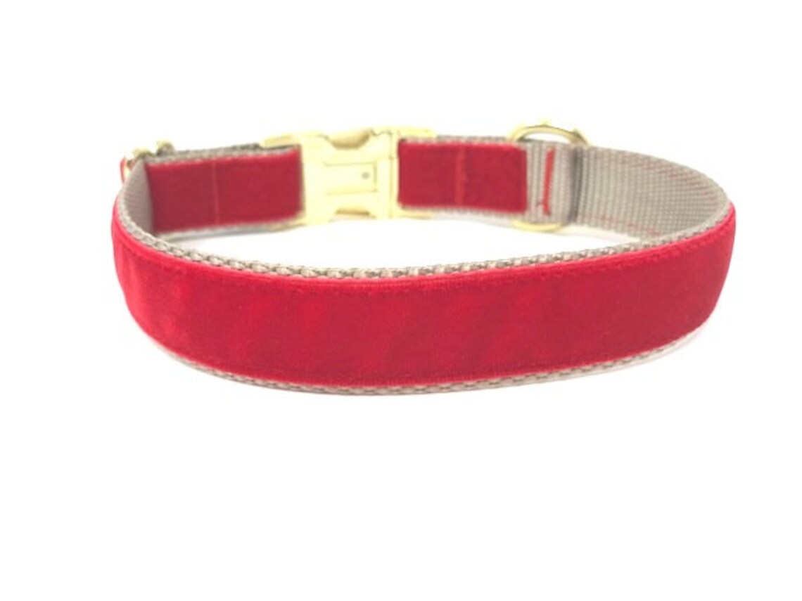 Red Velvet Gold Dog Collar Red Dog Collar Dog Collar For | Etsy