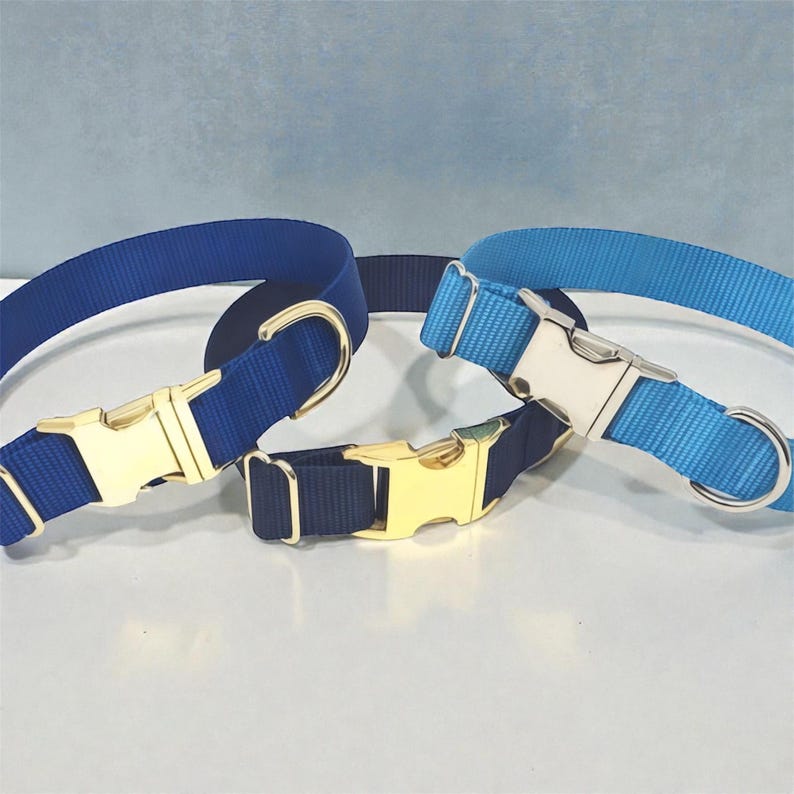Personalized Dog Collars, Blue, Puppy Collar, Boy, Males, Laser ...