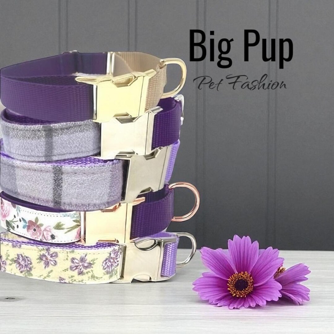 Purple, Lilac, Buckle Martingale Dog Collar, Lavender, Greyhound ...