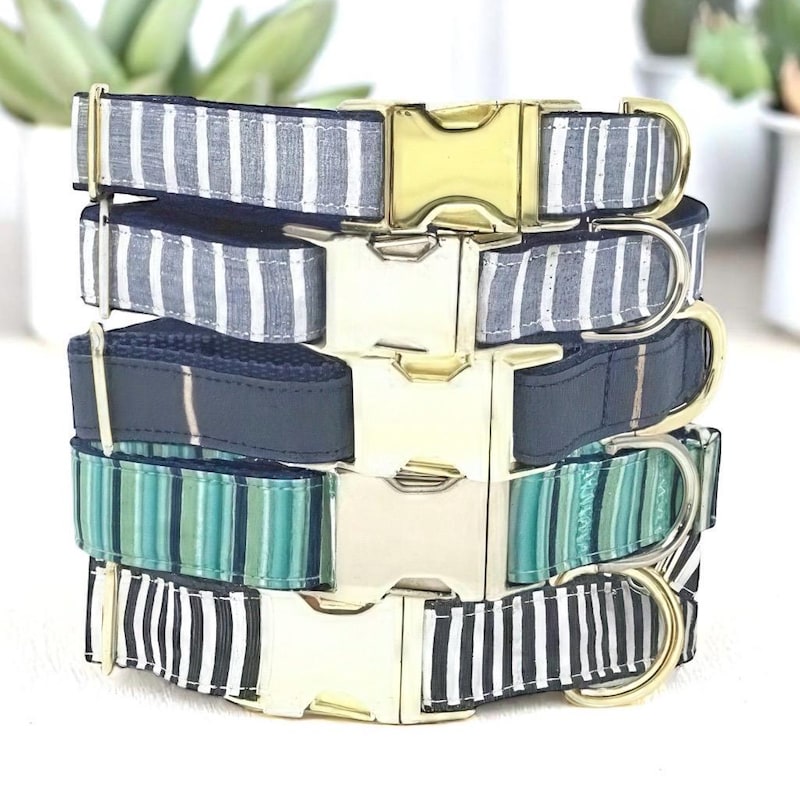 Preppy Dog Collar - Etsy