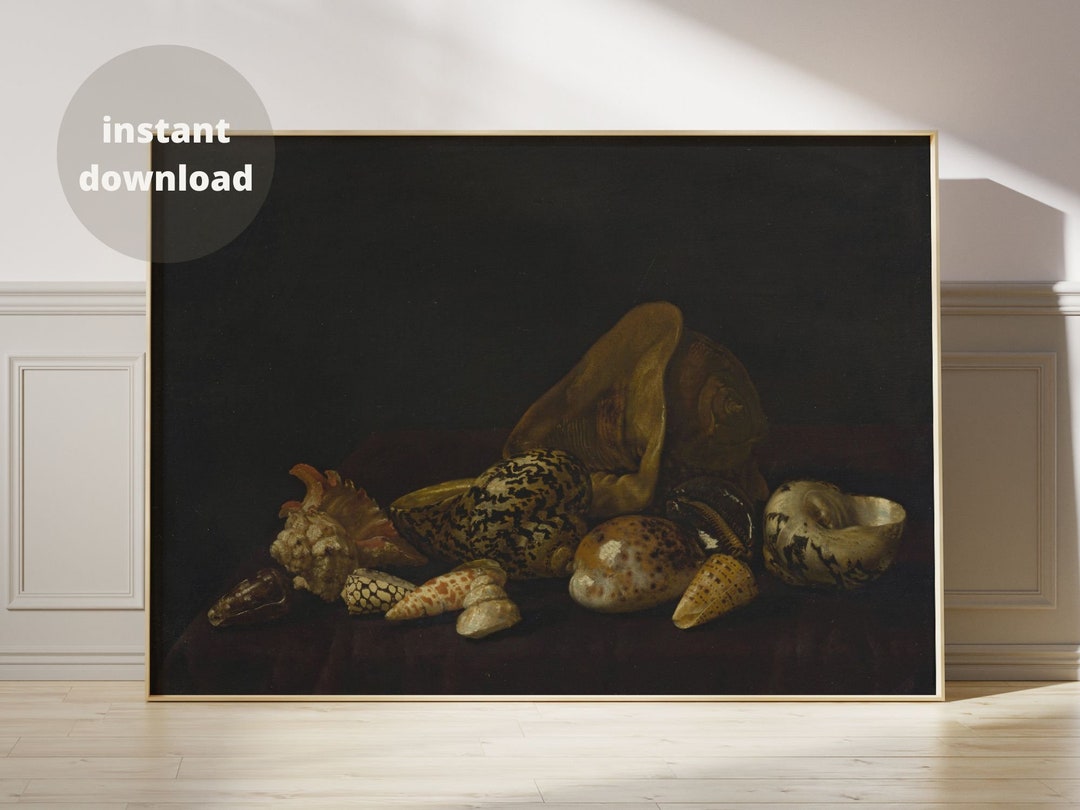 Vintage Dutch Seashell Still Life, 1690s Still Life Printable Art ...