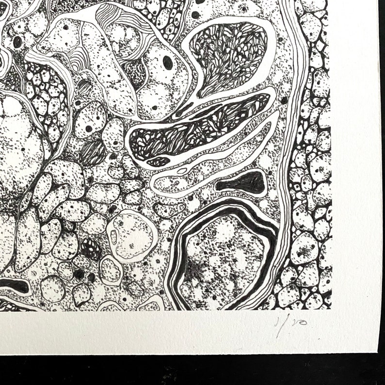 Cell Formation Gregorio Racadio Signed and Numbered Print edition of 10 ...