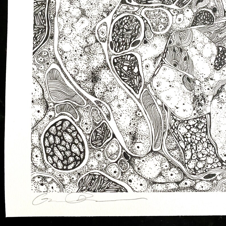 Cell Formation Gregorio Racadio Signed and Numbered Print edition of 10 ...