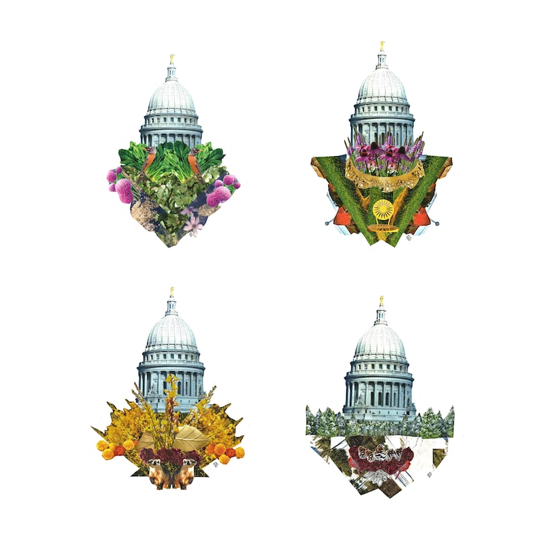 Madison Wisconsin Fall Capitol Collage - Etsy