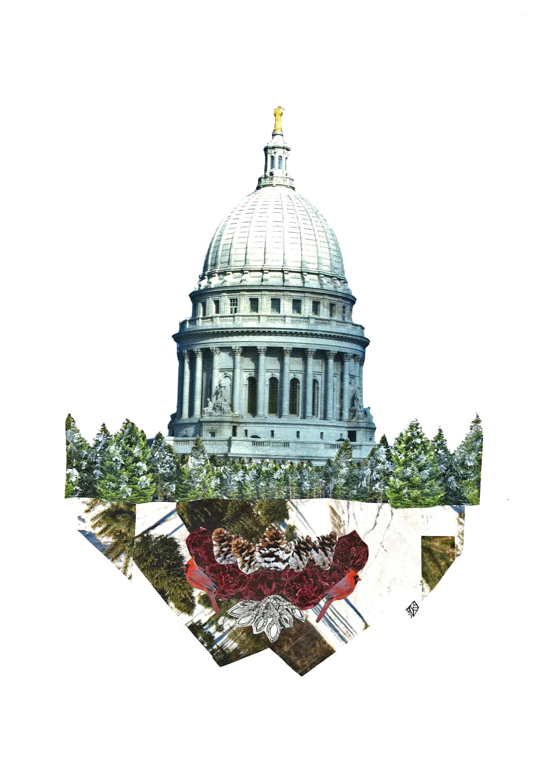 Madison Wisconsin Winter Capitol Collage - Etsy