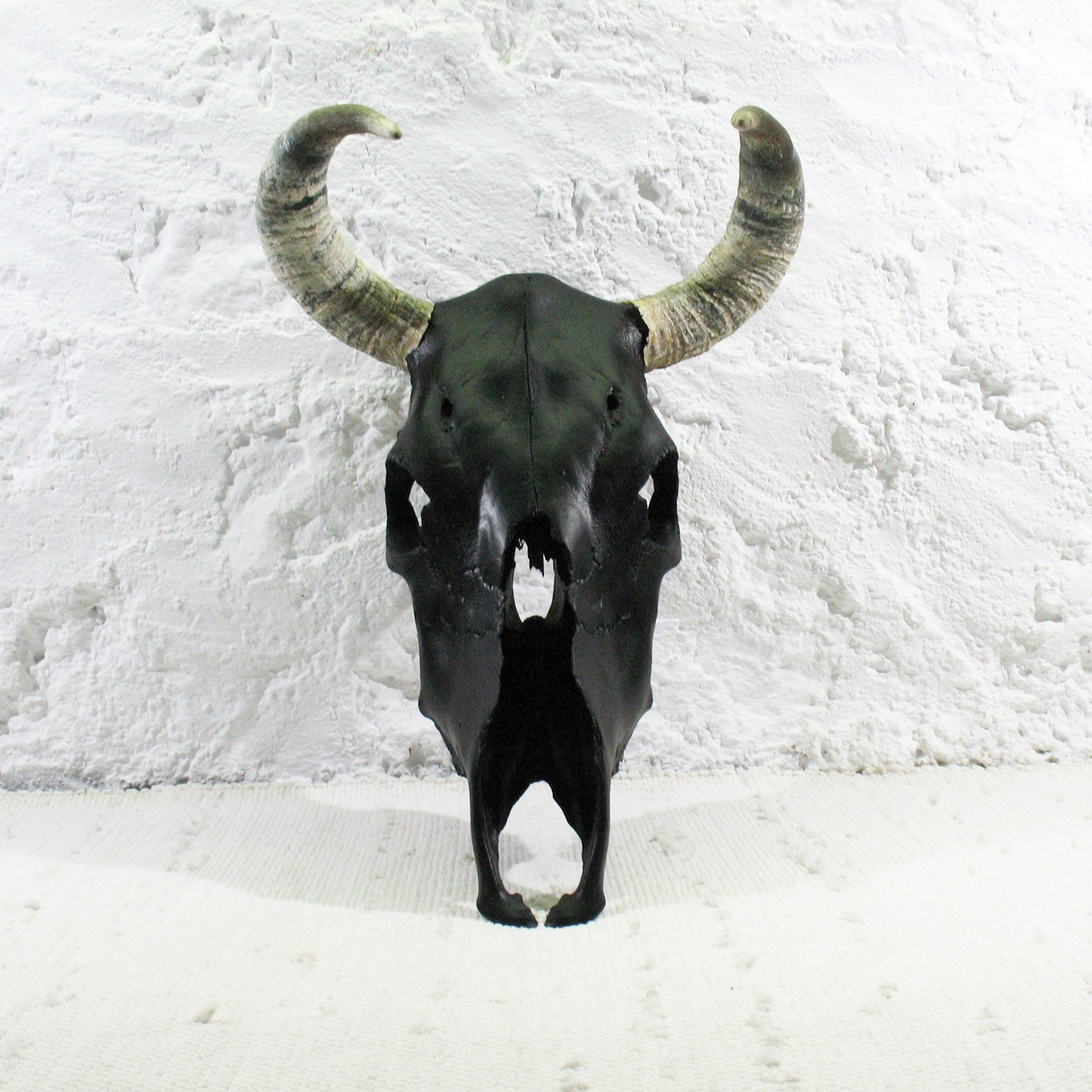 Black Bull Skull With Horns - Etsy