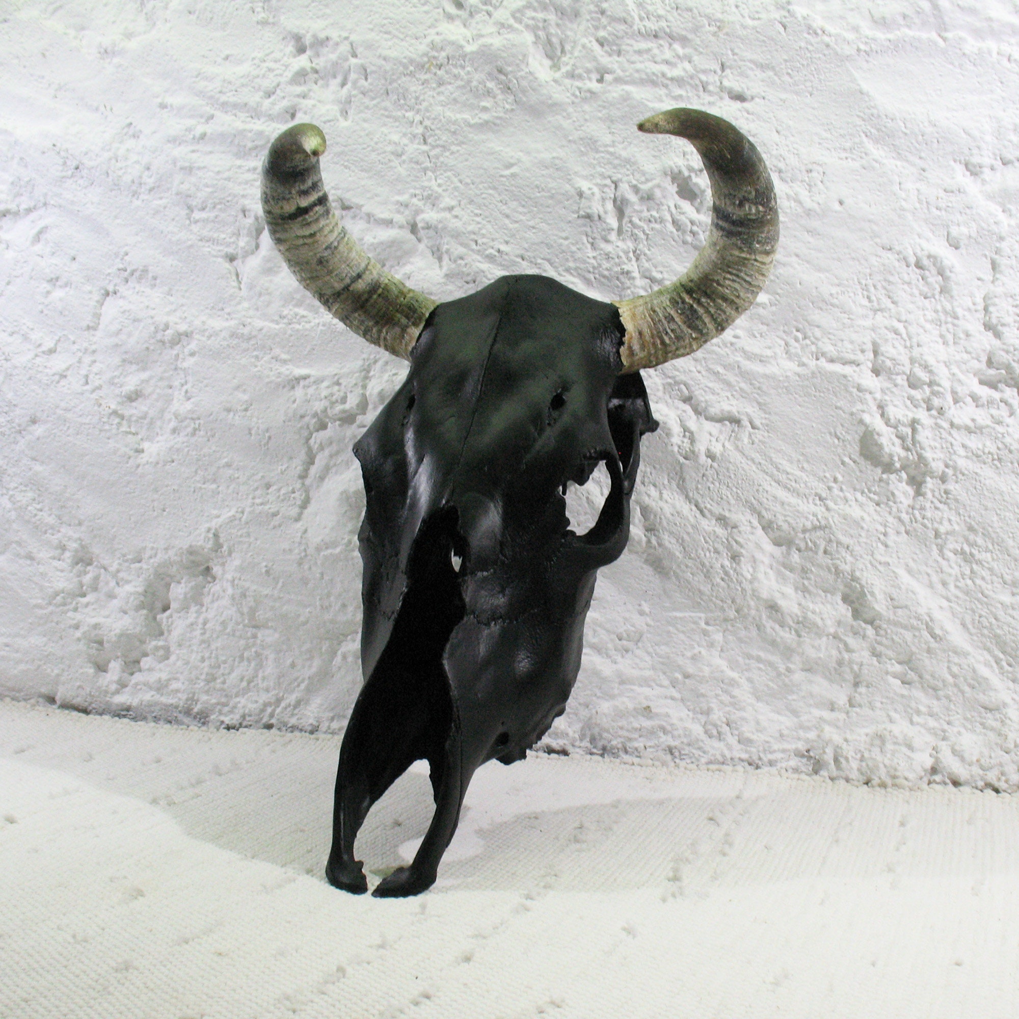 Black Bull Skull with Horns | Etsy