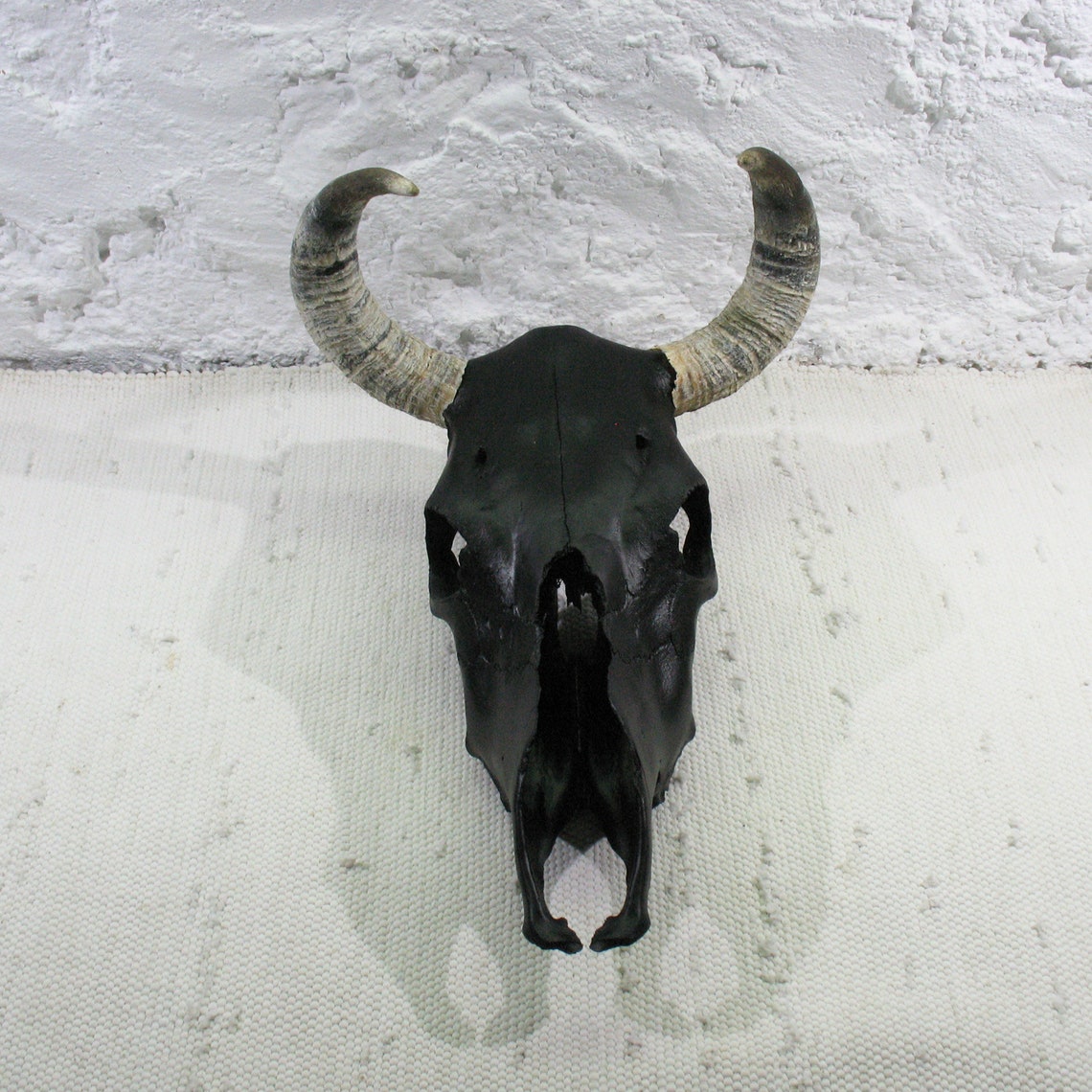 Black Bull Skull with Horns | Etsy