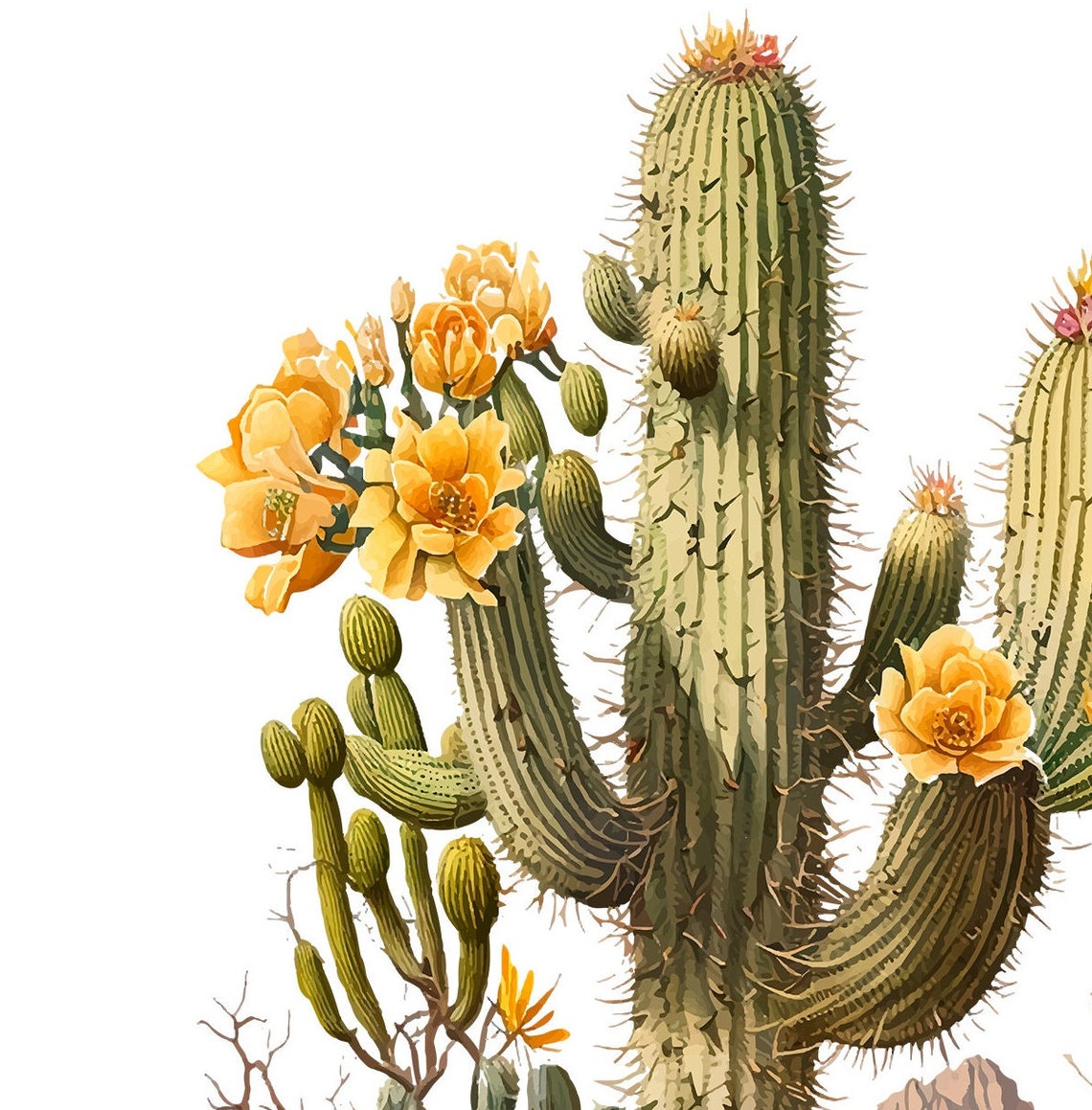Vintage Cactus Art Cactus SVG Cactus Decor Cactus SVG - Etsy
