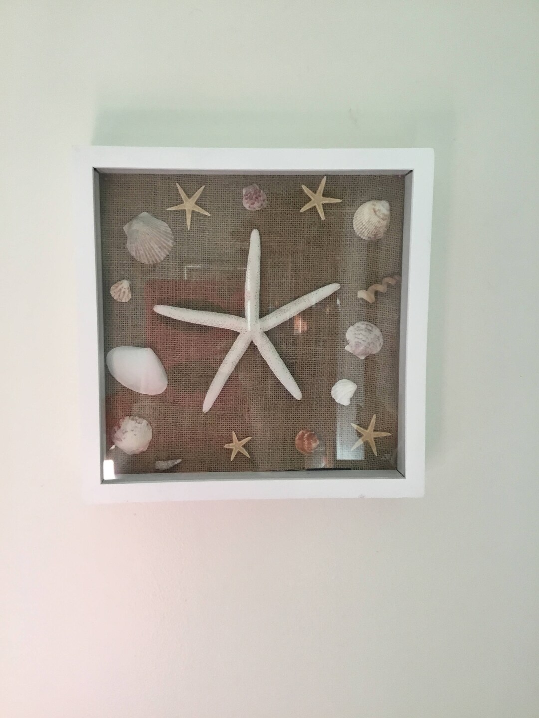 Sea Shell Frame - Etsy