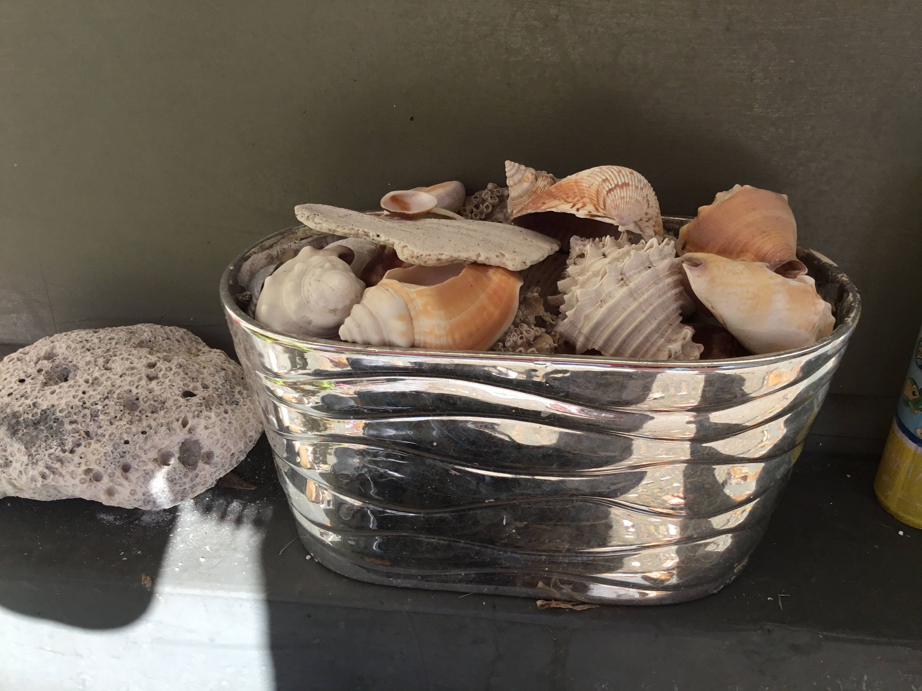 Bucket of Shells - Etsy