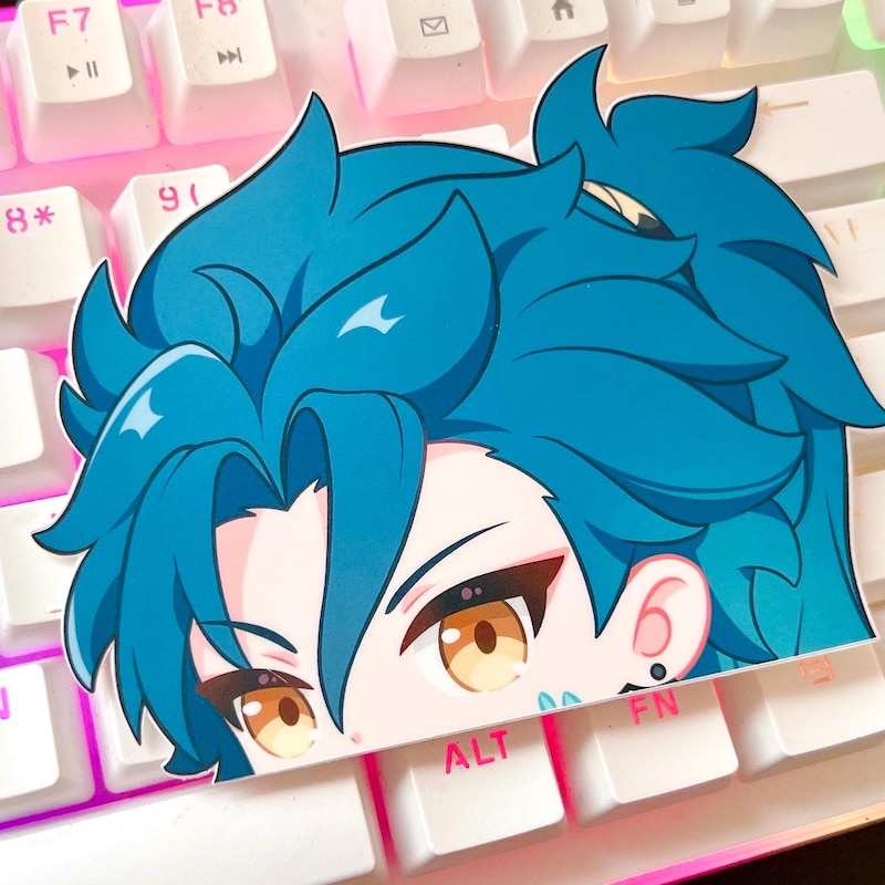 Wuthering Waves Sticker for Zani - Etsy