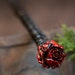 Red Rose Wand, Magic Wand With a Rose, Glossy Black Magic Wand, Geek ...