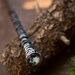 Moon Wand, Magic Wand With a Moon Glass Dome, Silver Wand, Geek ...