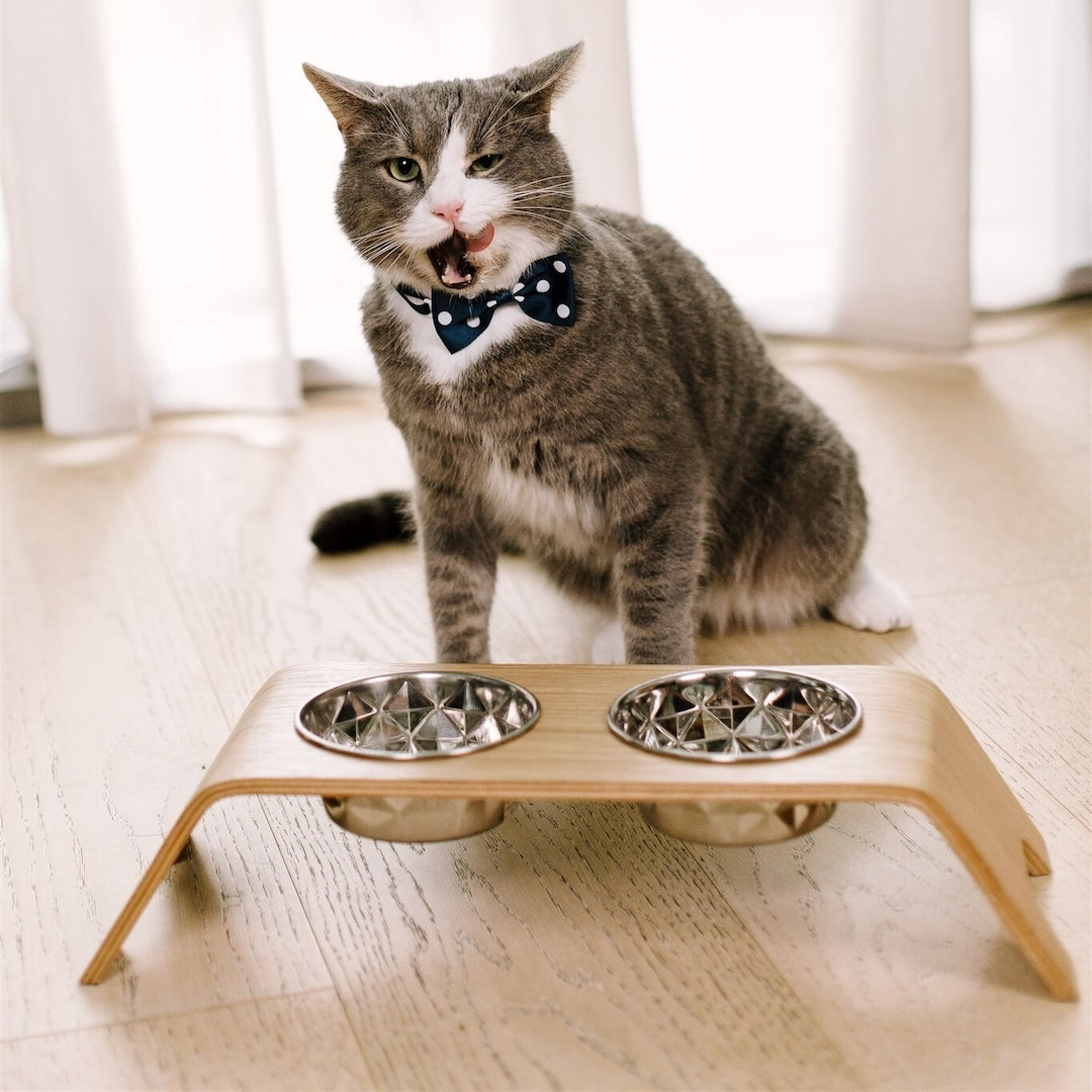 Premium Raised Cat Bowl Stand Elevated Food Bowl Stand Gift - Etsy