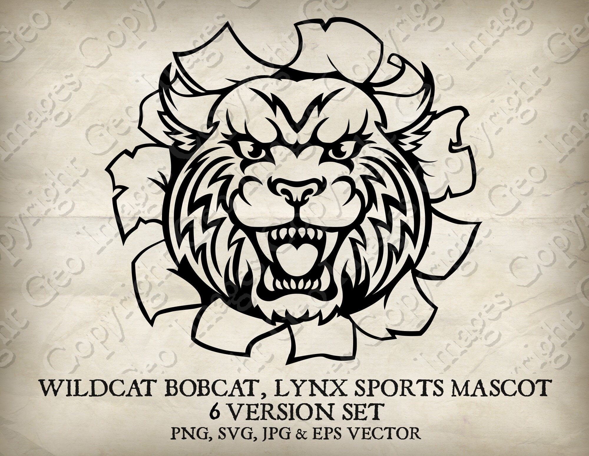 Wildcat Bobcat Cougar Lynx Lion Sports Mascot Wildcats Bobcats Cougars ...