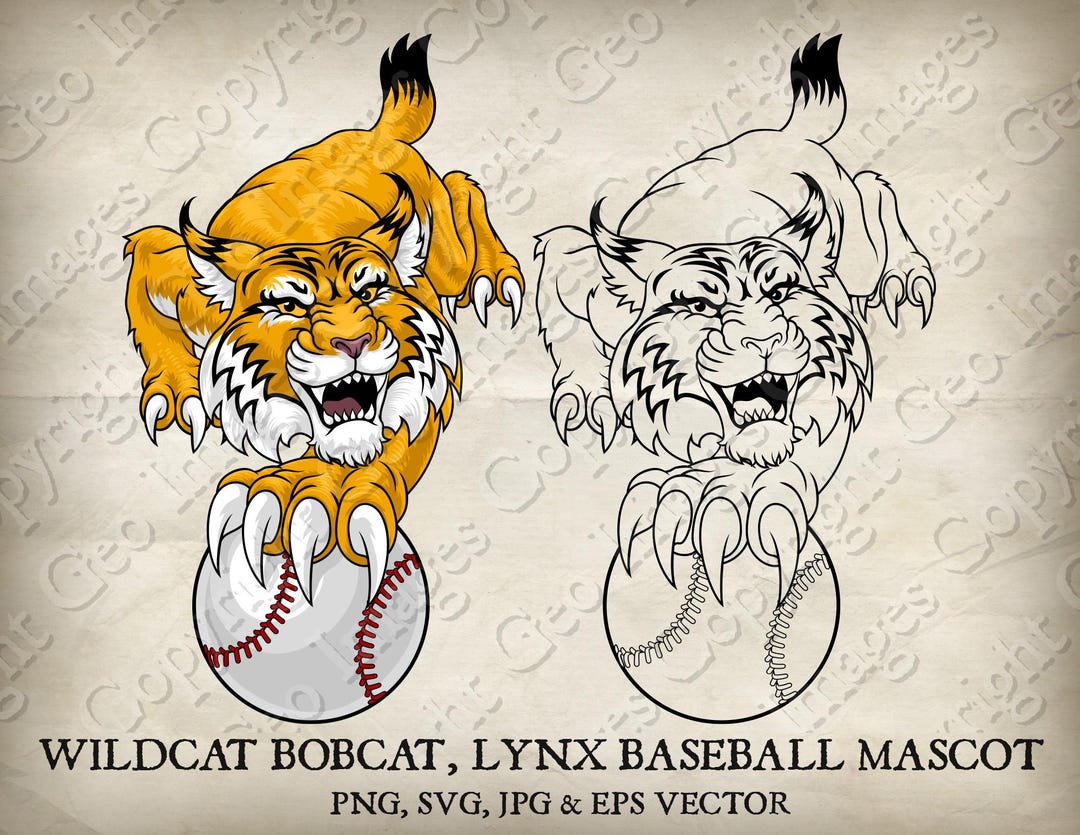 Wildcat Mascot Bobcat Cougar Lynx Mascot Lion Holding Baseball Mascot ...