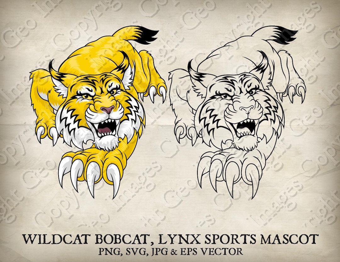 Wildcat Bobcat Cougar Lynx Lion Sports Team Mascot Wildcats Bobcats ...