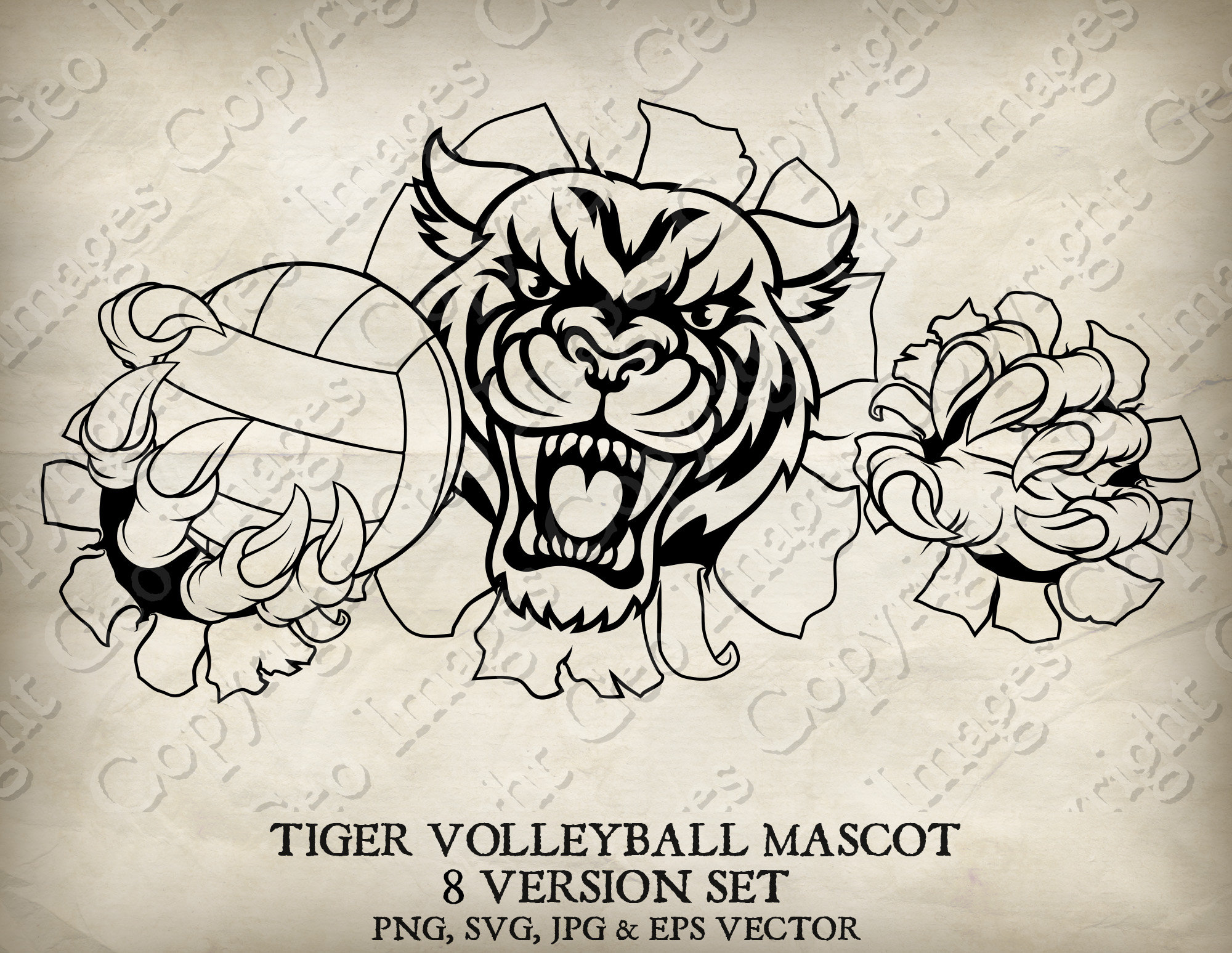 Tiger Holding Volleyball Volley Ball Sports Mascot Tigers Logo Cartoon ...