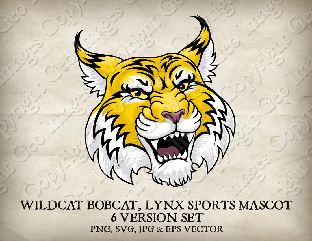 Wildcat Bobcat Cougar Lynx Lion Sports Mascot Wildcats Bobcats Cougars ...