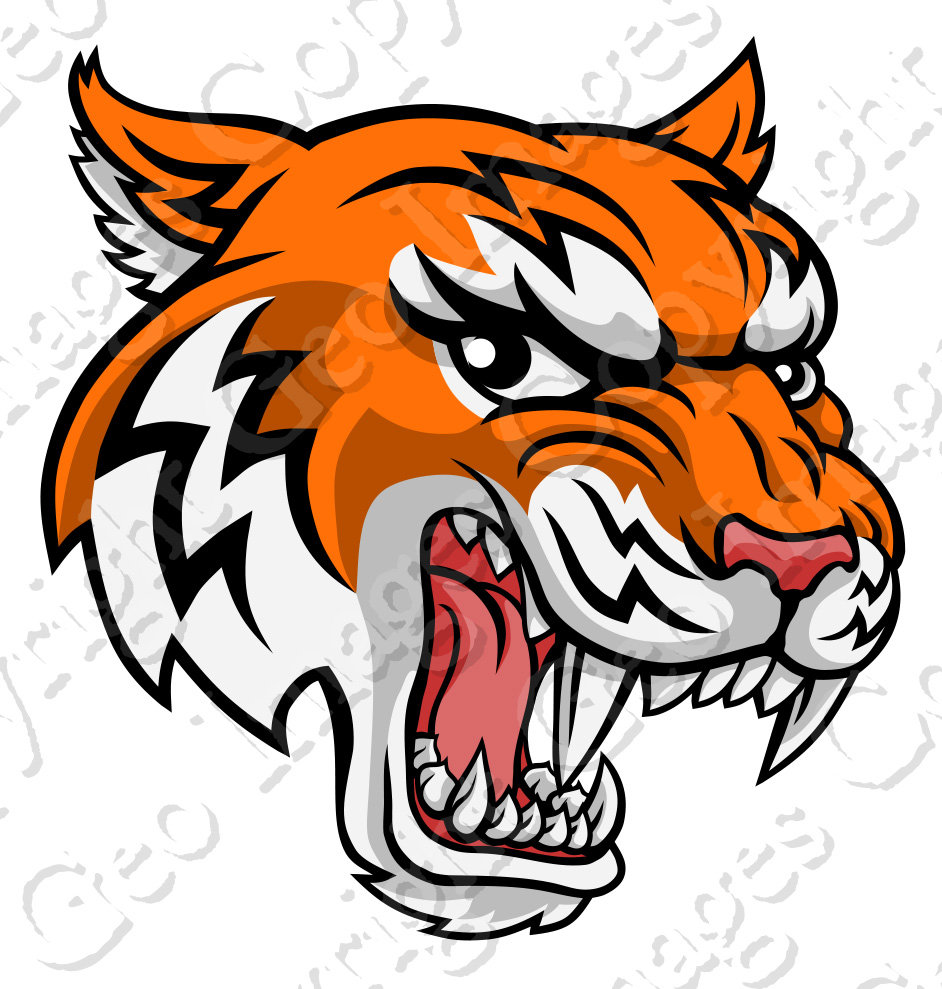 Tiger Cat Mascot Head Angry Tigers Face Cartoon in Two Versions Artwork ...