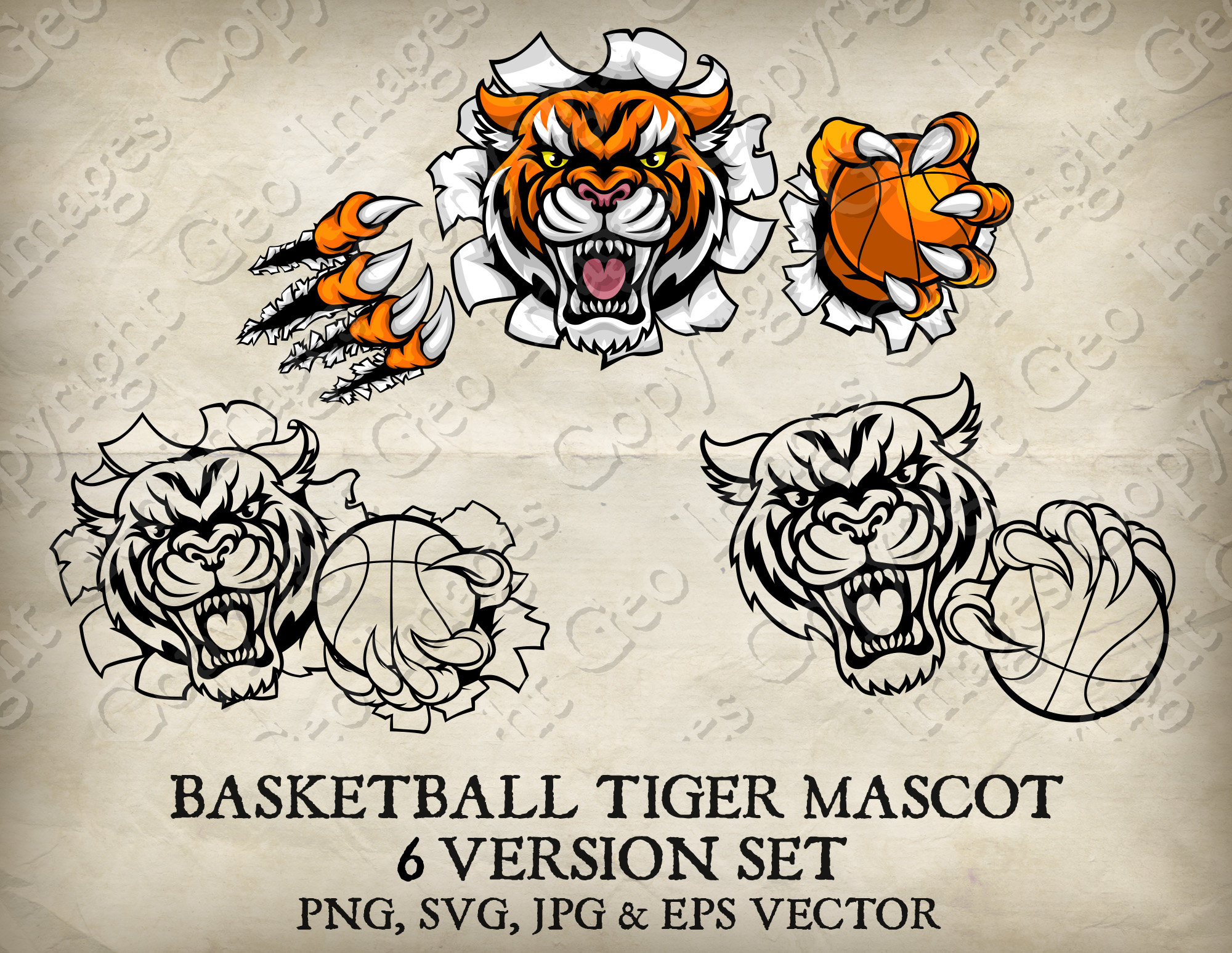 Tiger Holding Basketball Ball in Claws Mascot Angry Tigers Face Cartoon ...