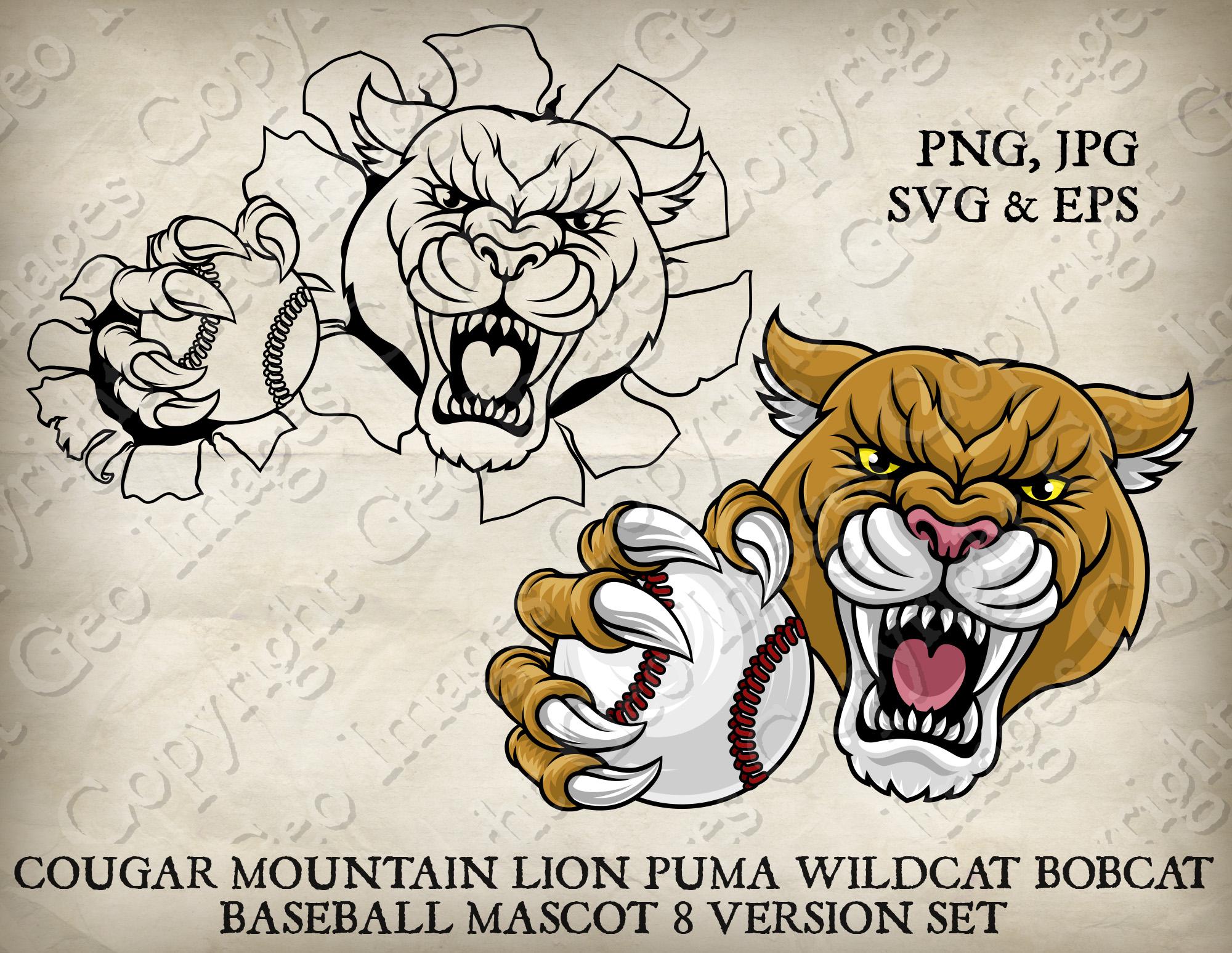 Cougar Wildcat Bobcat Puma Mountain Lion Holding Baseball Ball Team ...