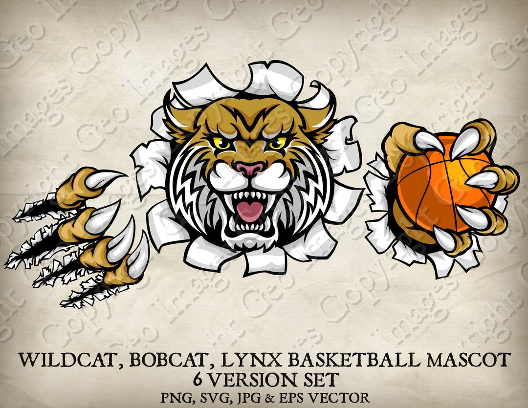 Wildcat Bobcat Cougar Lynx Lion Holding Basketball Ball Mascot Wildcats ...