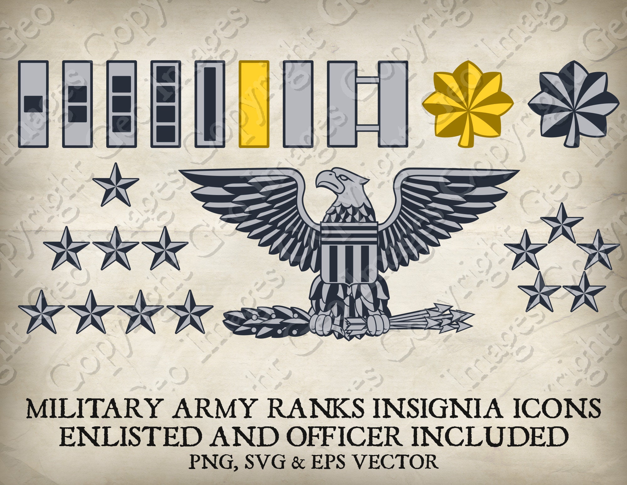 Army Rank United States US Military Insignia Officer Enlisted Badge ...