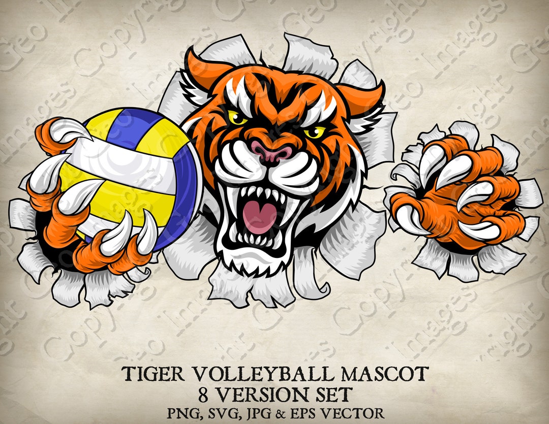 Tiger Holding Volleyball Volley Ball Sports Mascot Tigers Logo Cartoon ...