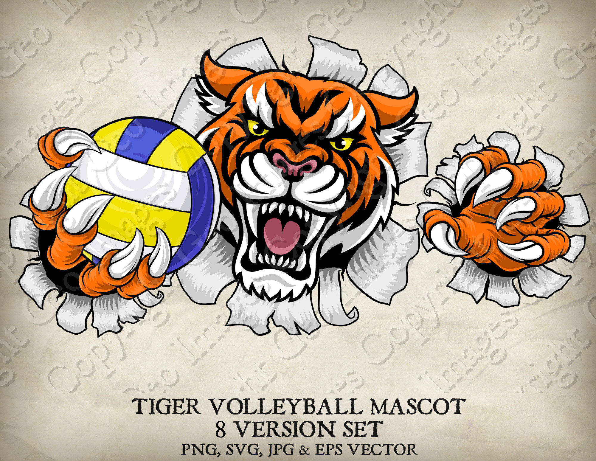 Tiger Holding Volleyball Volley Ball Sports Mascot Tigers Logo Cartoon ...