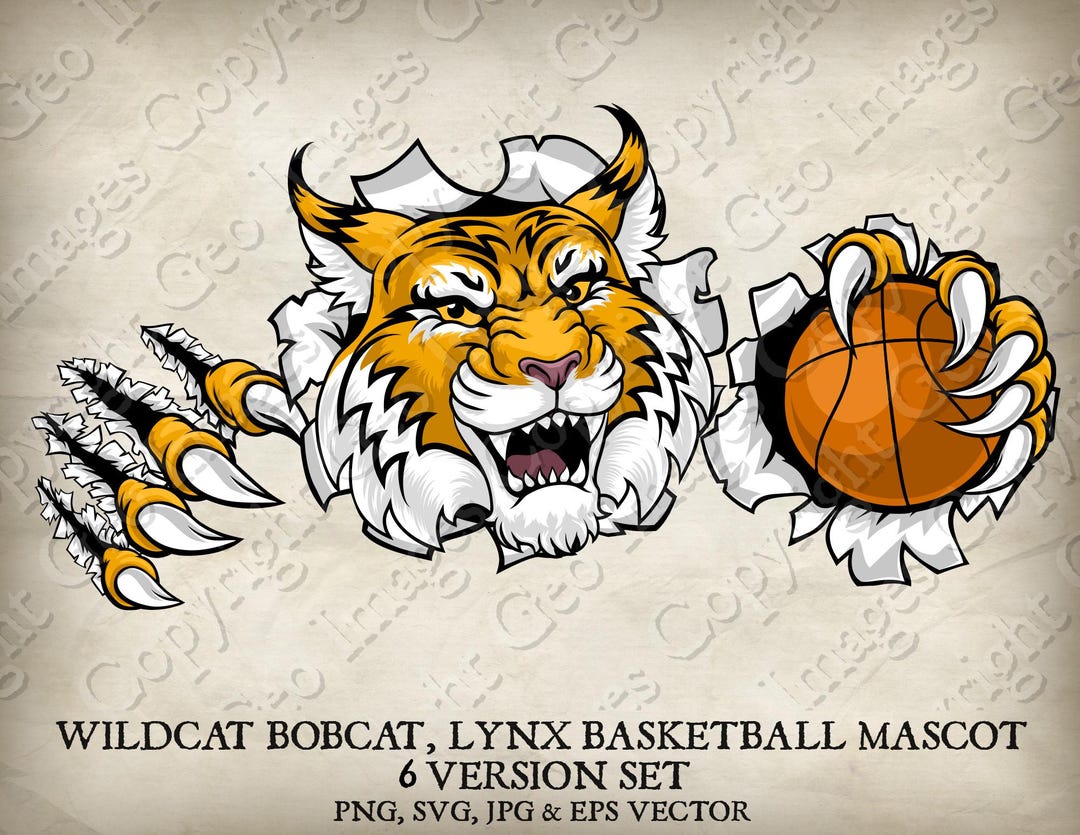 Wildcat Bobcat Cougar Lynx Lion Holding Basketball Ball Mascot Wildcats ...