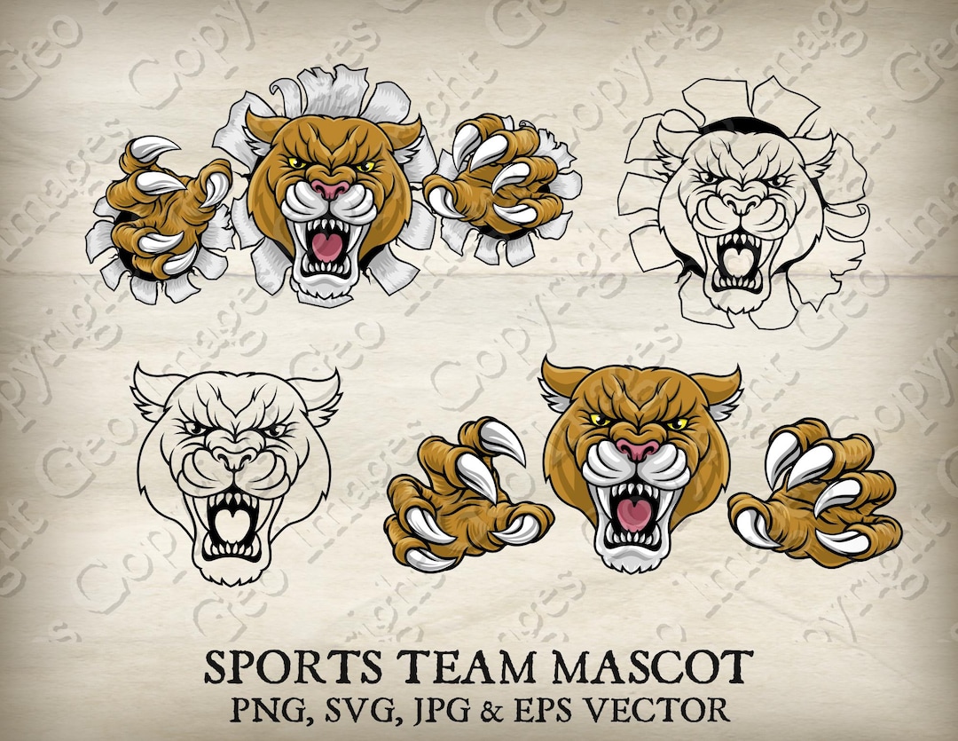 Cougar Mascot Wildcat Bobcat Puma Mountain Lion Wildcats Bobcats ...