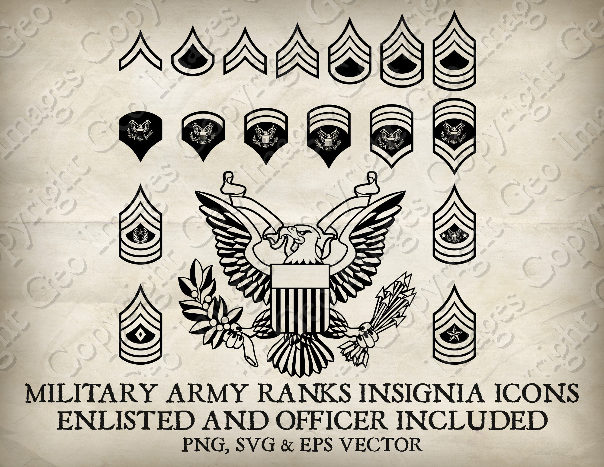 Army Rank United States US Military Insignia Officer Enlisted Badge ...