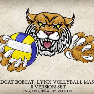Wildcat Bobcat Cougar Lynx Lion Holding Volleyball Ball Mascot Wildcats ...