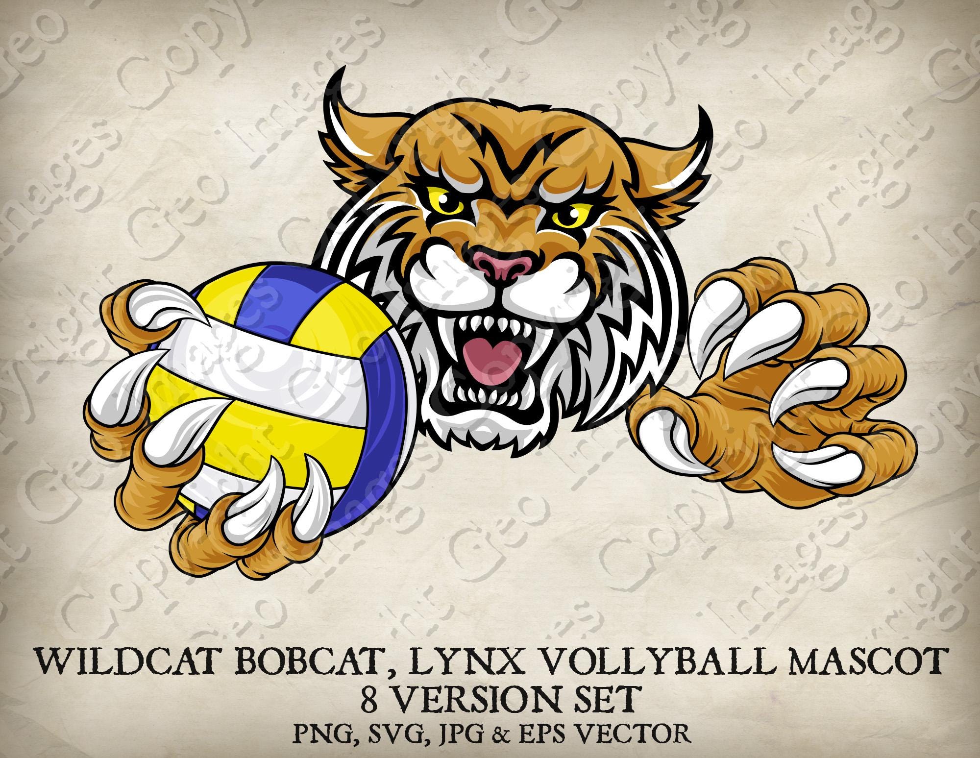 Wildcat Bobcat Cougar Lynx Lion Holding Volleyball Ball Mascot Wildcats ...