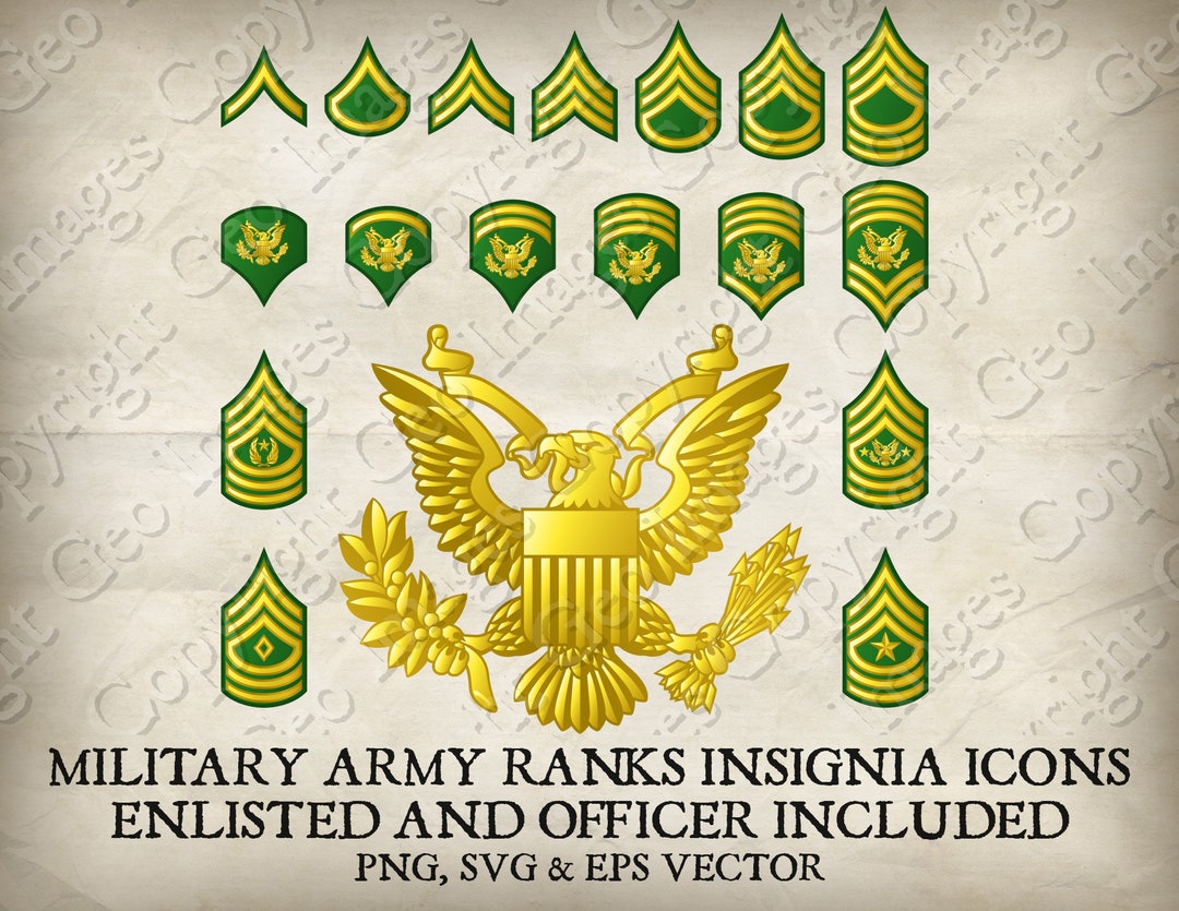 Army Rank United States US Military Insignia Officer Enlisted Badge ...