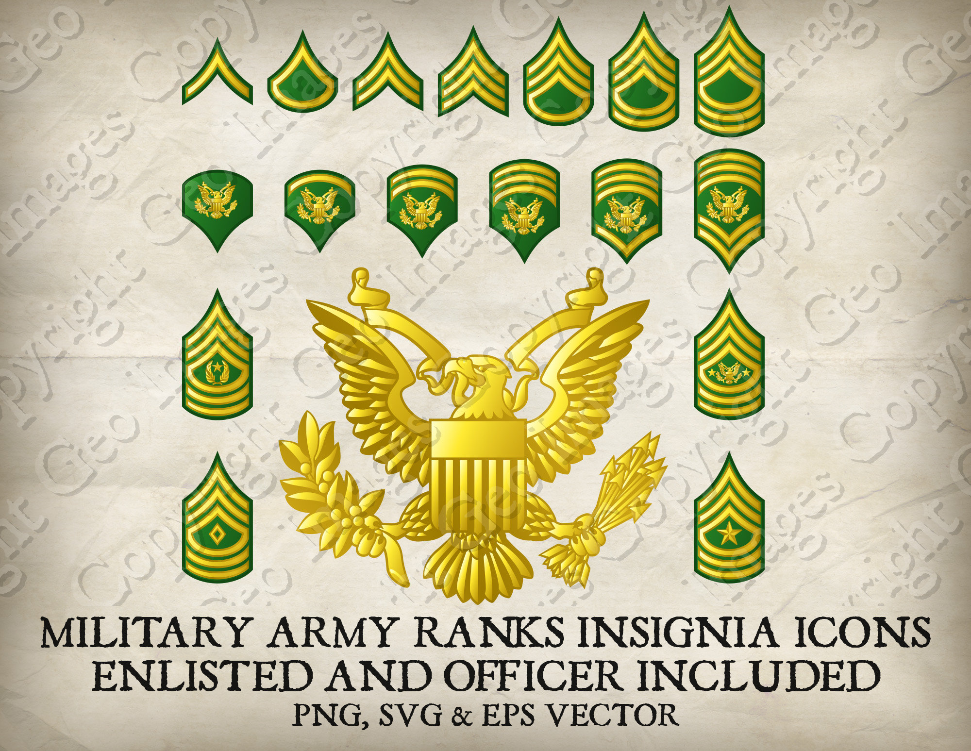 Army Rank United States US Military Insignia Officer Enlisted Badge ...