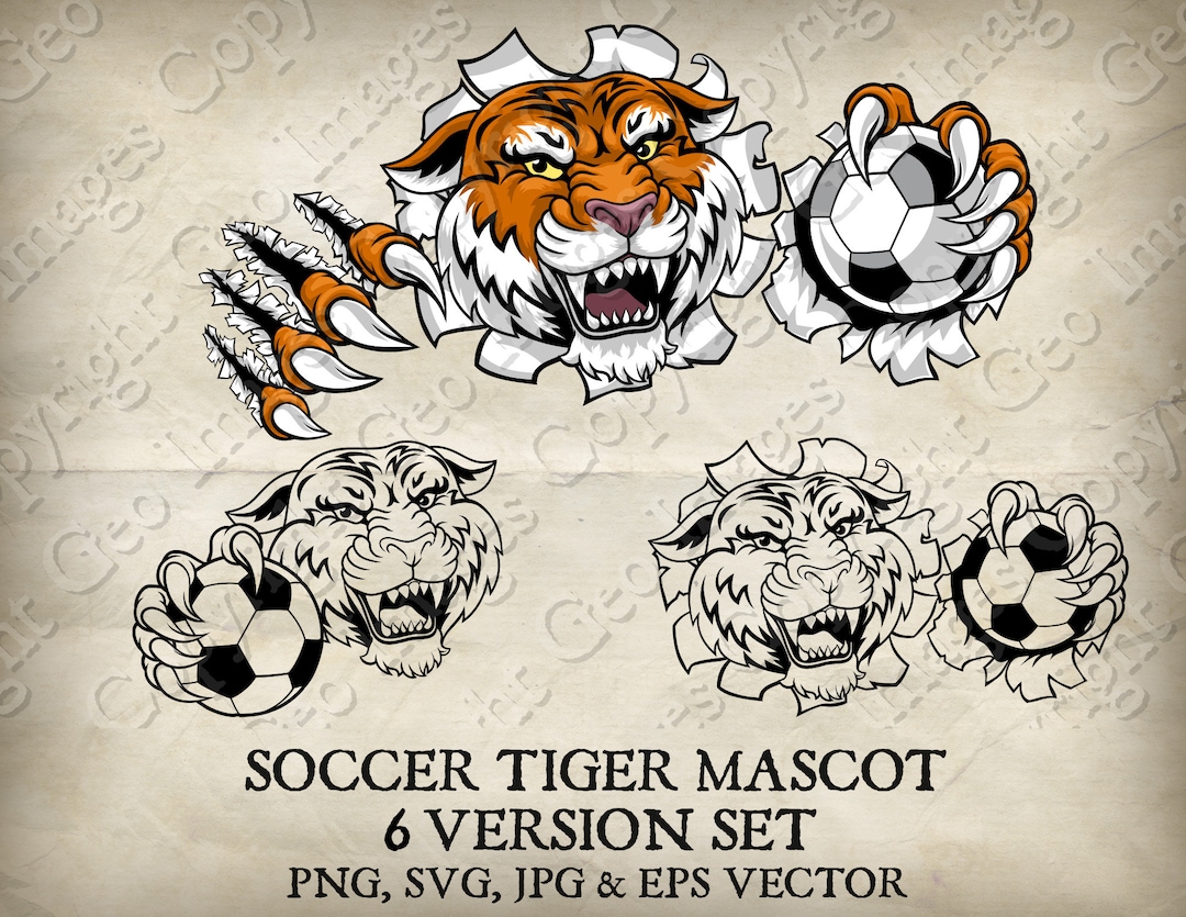 Tiger Holding Soccer Football Ball in Claws Mascot Tigers Logo Cartoon ...