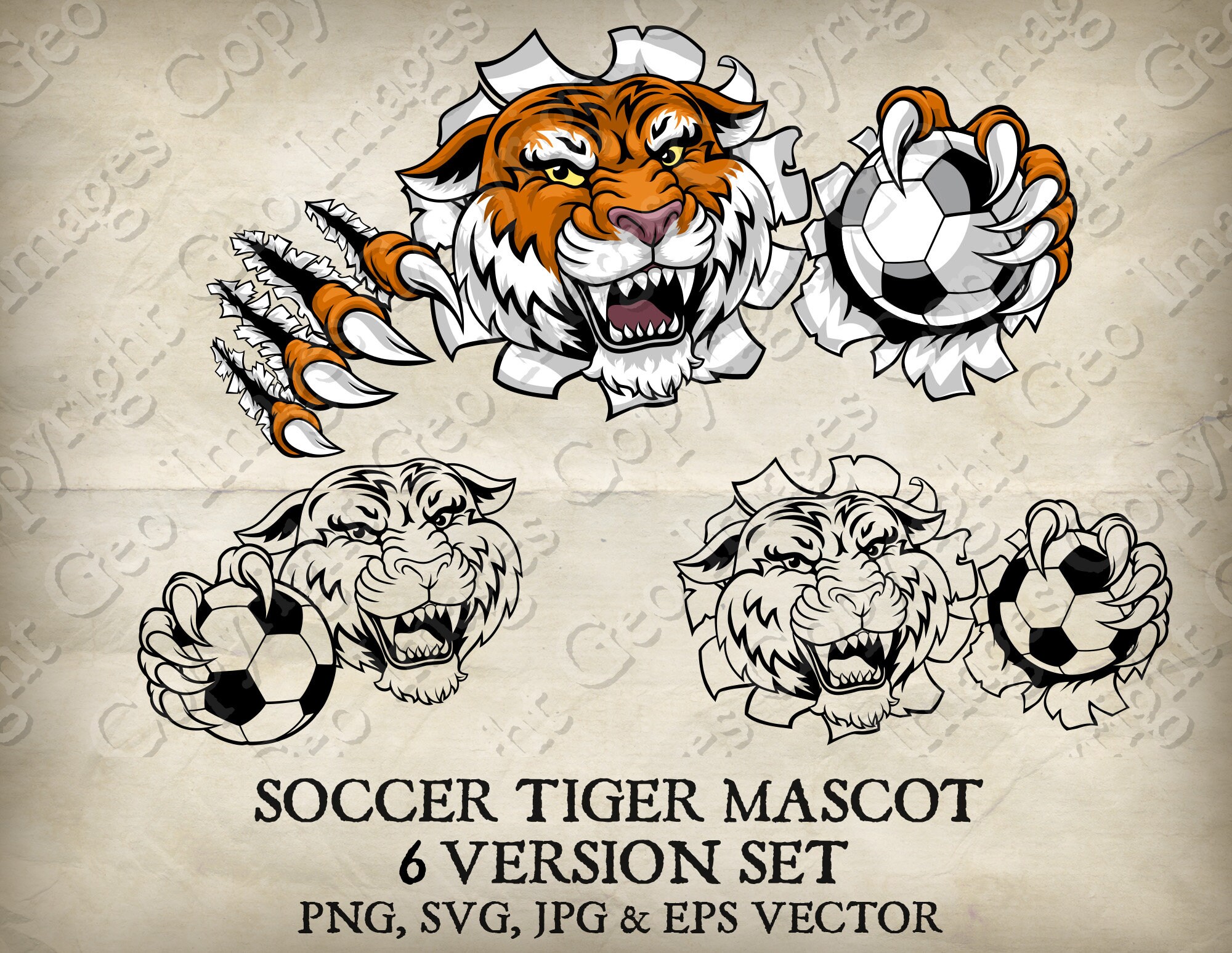 Tiger Holding Soccer Football Ball in Claws Mascot Tigers Logo Cartoon ...