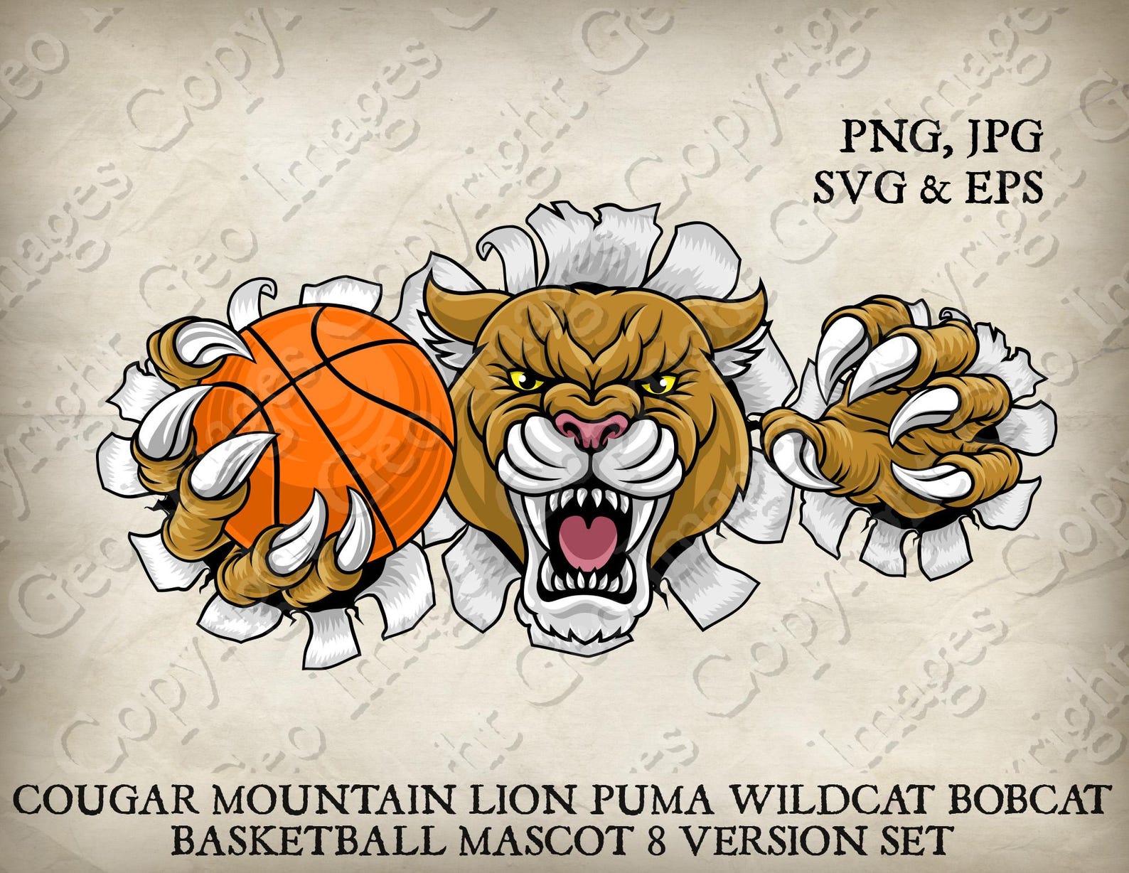 Cougar Wildcat Bobcat Puma Mountain Lion Holding Basketball Ball Team ...