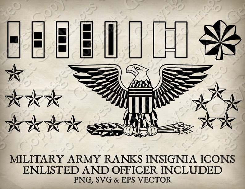 Army Rank United States US Military Insignia Officer Enlisted Badge ...