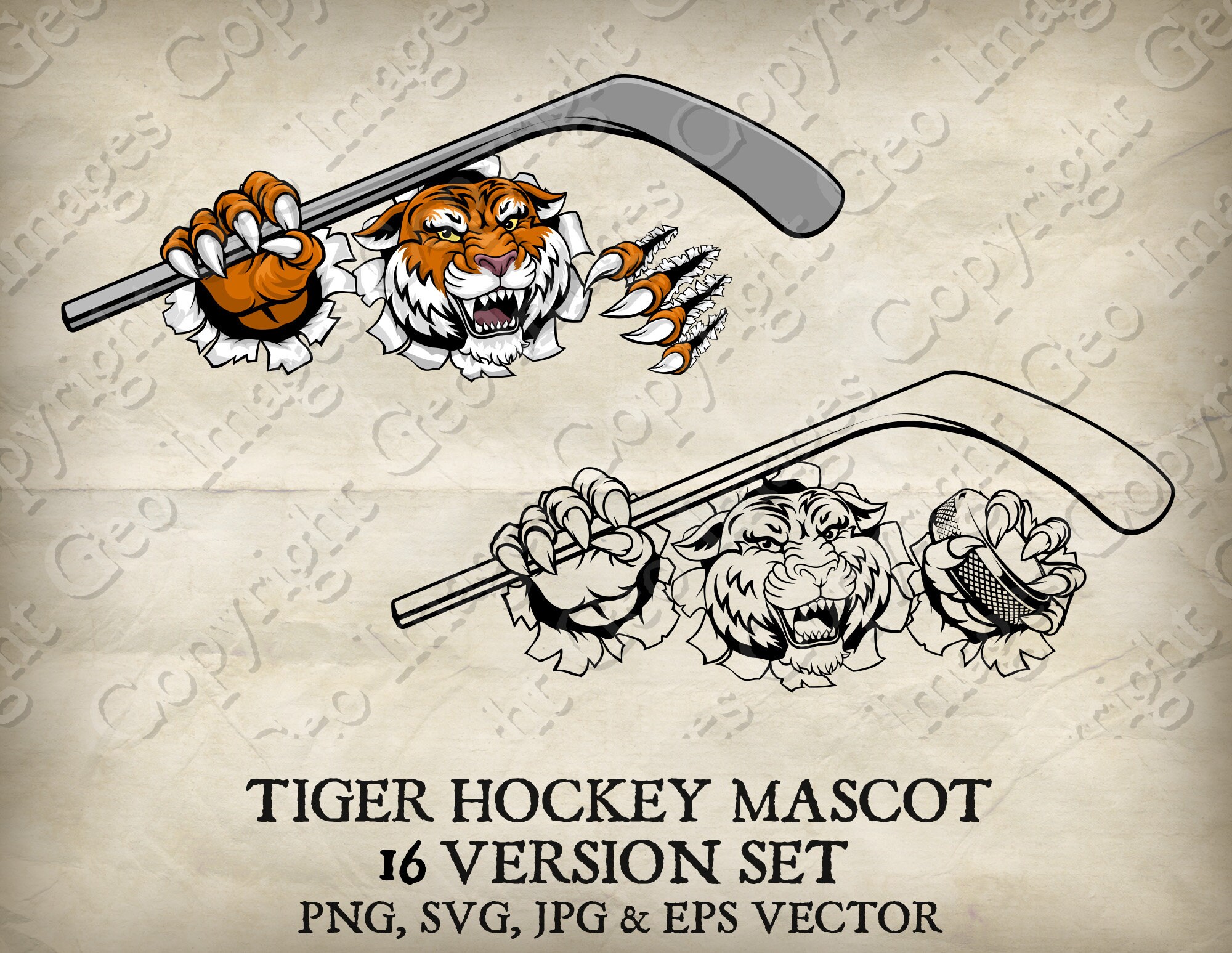 Tiger Hockey Mascot Tigers Logo Cartoon. 16 Versions. Holding Ice ...