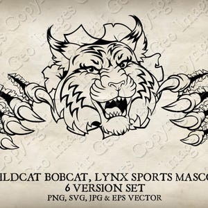 Wildcat Bobcat Cougar Lynx Lion Sports Mascot Wildcats Bobcats Cougars ...