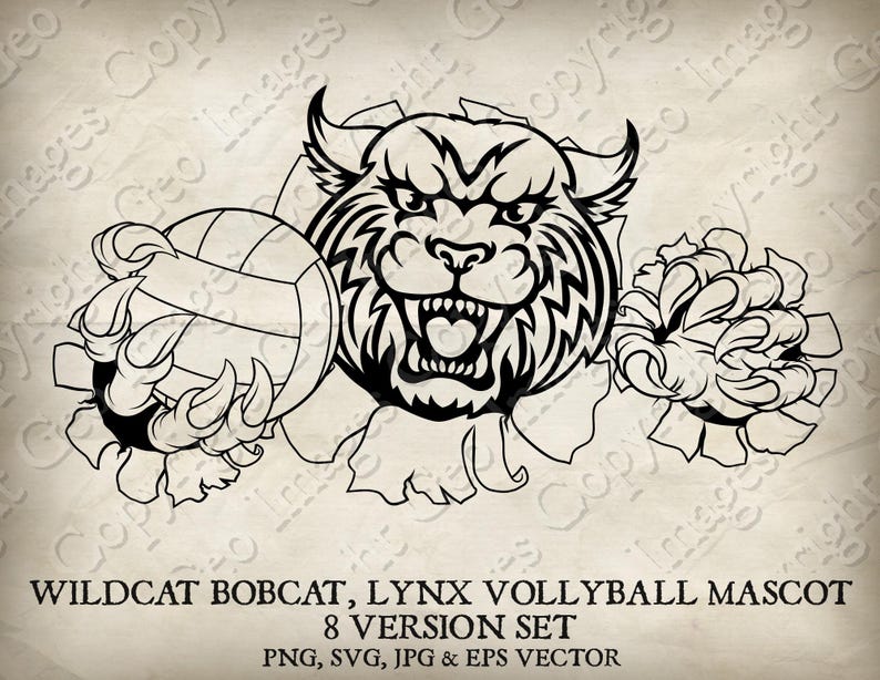 Wildcat Bobcat Cougar Lynx Lion Holding Volleyball Ball Mascot Wildcats ...