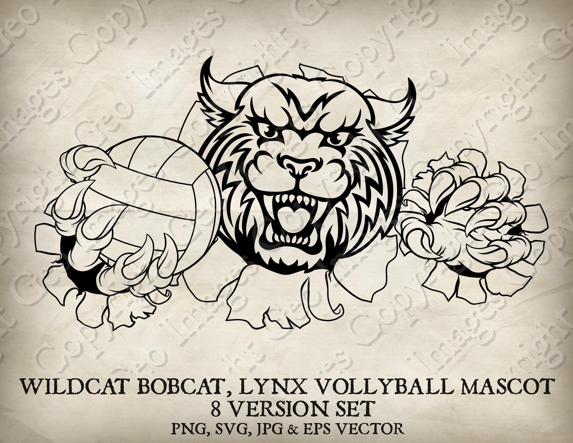 Wildcat Bobcat Cougar Lynx Lion Holding Volleyball Ball Mascot Wildcats ...